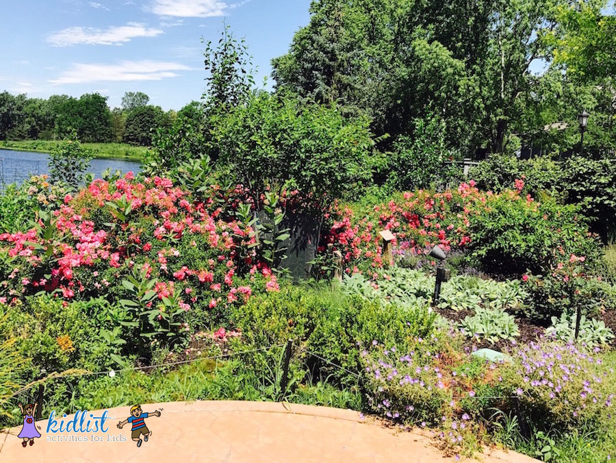 A Day Trip to Lake Katherine in Palos Heights - Kidlist
